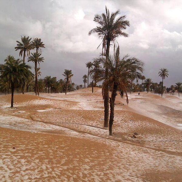Djelfa - City in the Ouled Nail Range in northern Algeria - The World ...